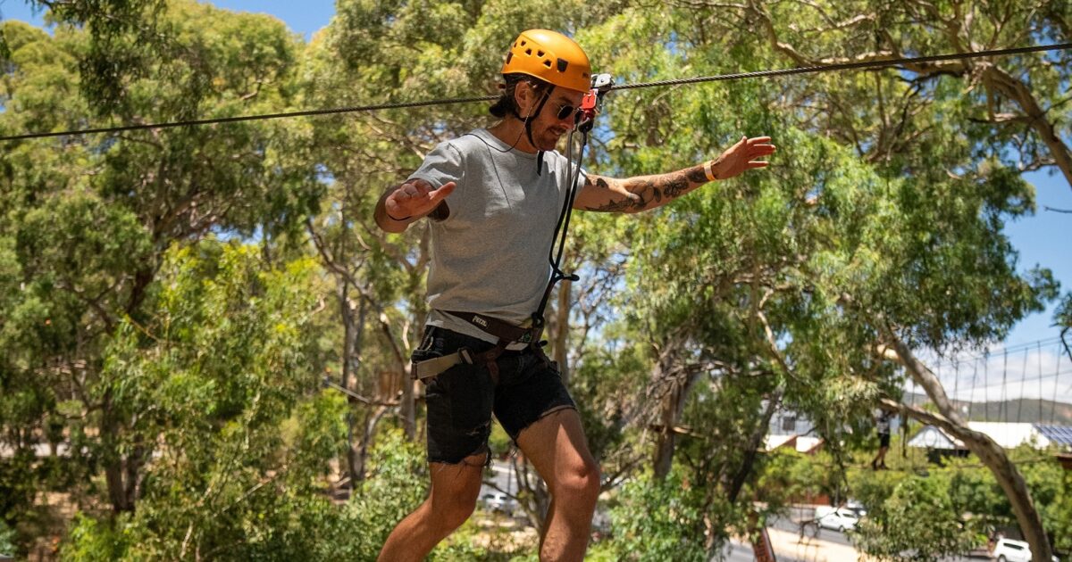 Salisbury to become home to TreeClimb in the north • City of Salisbury