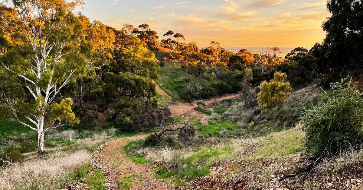 Kiekebusch Road Reserve • Discover Salisbury