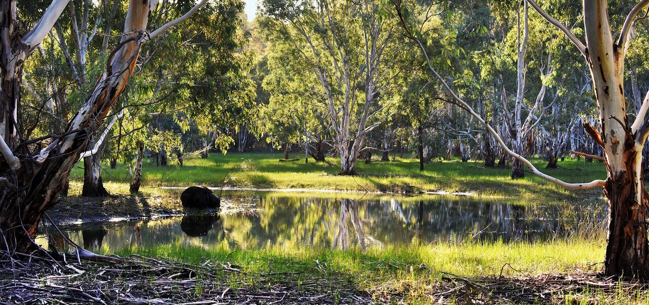 Kaurna Park Wetlands • City of Salisbury