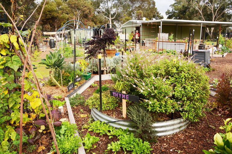 Communal Gardens • City of Salisbury