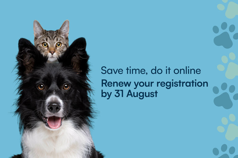 Pets and Animals • City of Salisbury