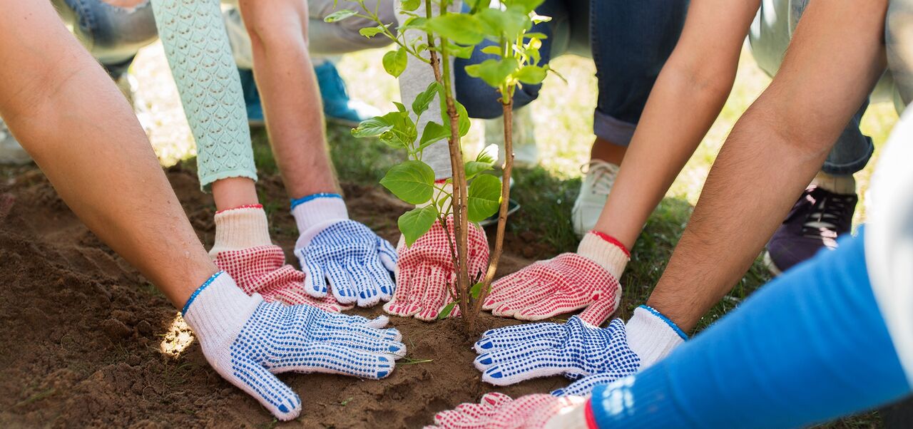 Sustainability and Climate Change • City of Salisbury Sustainability and Climate Change • City of Salisbury