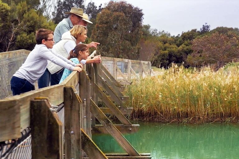 Wetlands • City of Salisbury